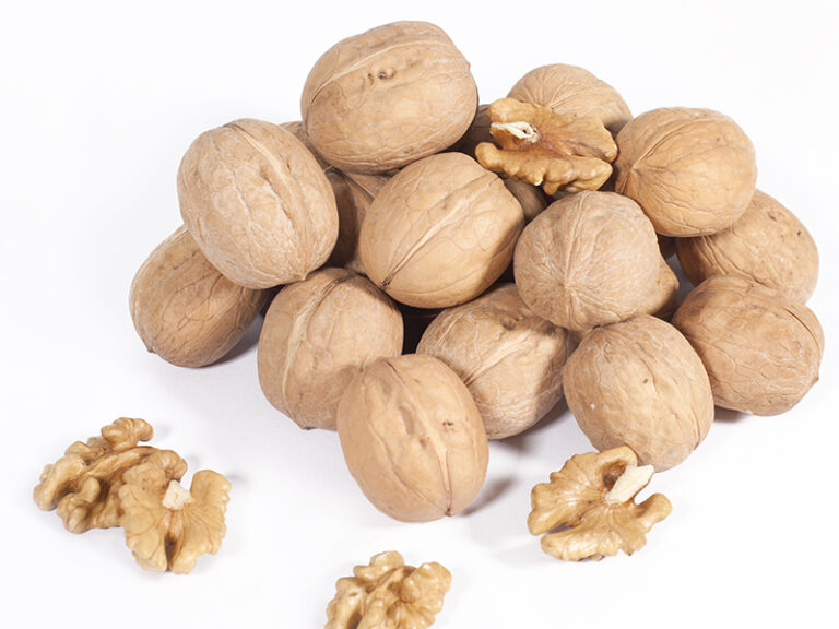 HWC Walnuts | HWC TREE NUTS – Chinese Tree Nuts Manufacturer/Supplier ...