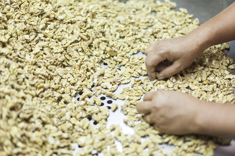 HWC Walnuts | Wangchang Food – Chinese Tree Nuts Manufacturer/Supplier ...